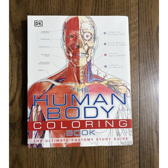 Art | The Human Body Coloring Book The Ultimate Anatomy Study Guide Dk ...